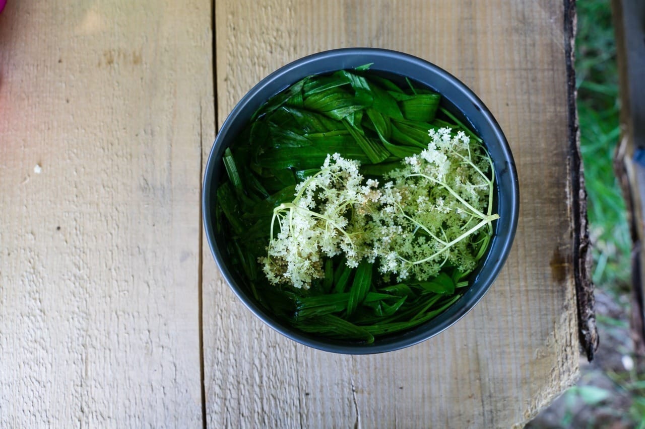 L'infusion: 4 conseils pour profiter de ses bienfaits - Cueilleurs Sauvages