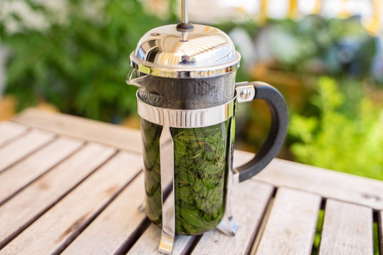 L'infusion: 4 conseils pour profiter de ses bienfaits - Cueilleurs Sauvages