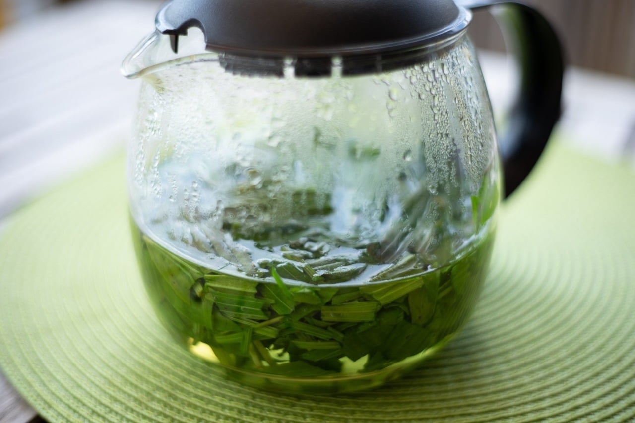 L'infusion: 4 conseils pour profiter de ses bienfaits - Cueilleurs Sauvages