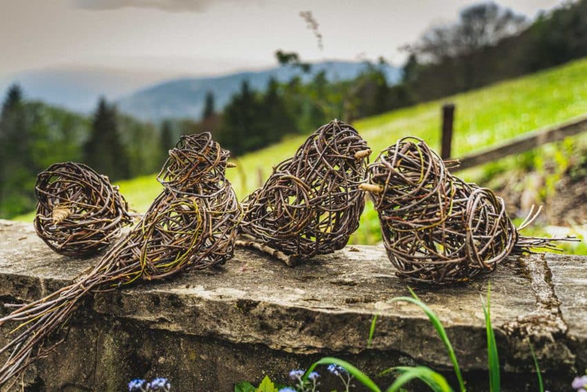 Atelier de vannerie sauvage - Cueilleurs Sauvages