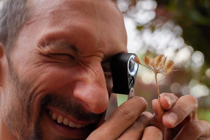 Comment choisir sa loupe de botaniste?